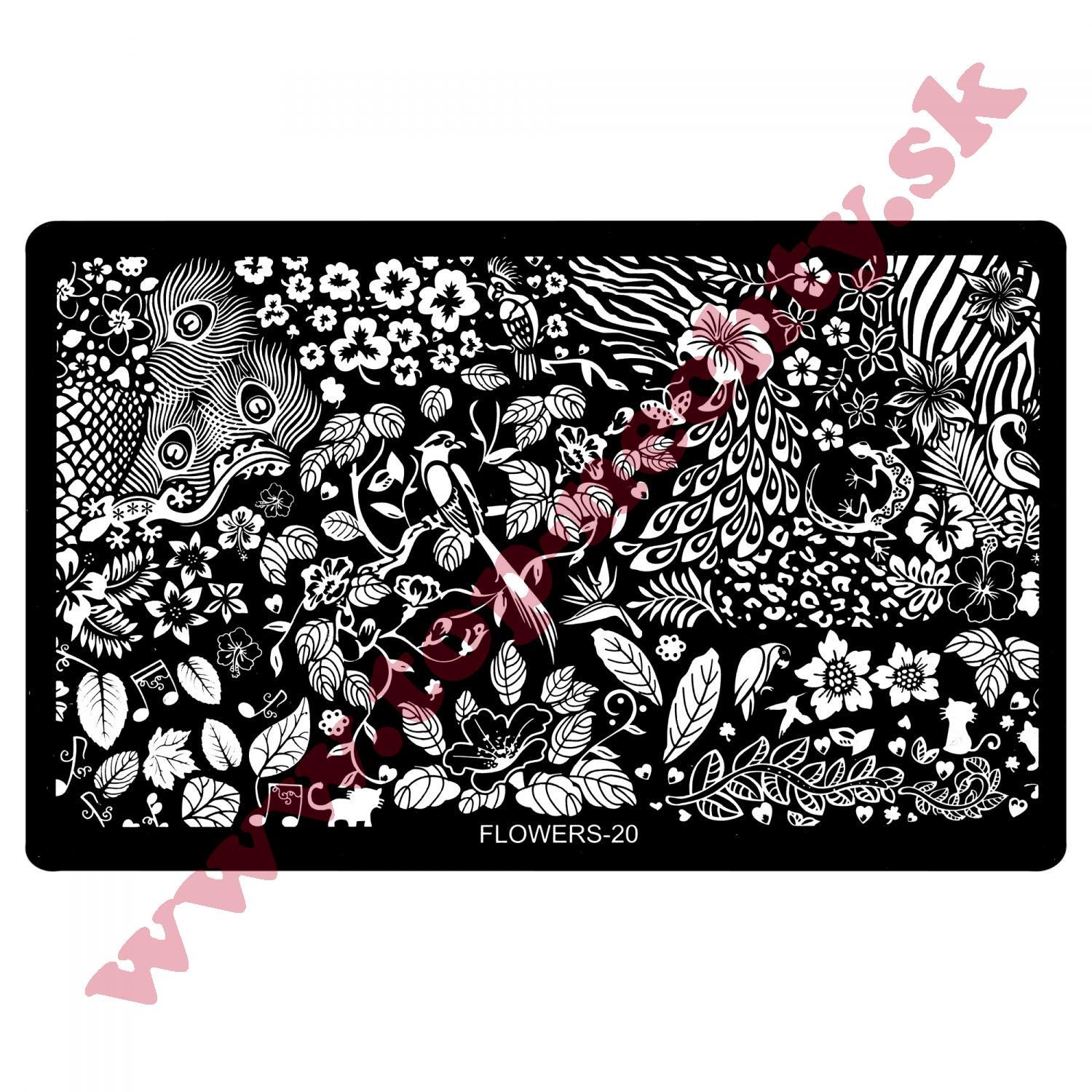 Poškodená veľká doštička | Noezon.sk